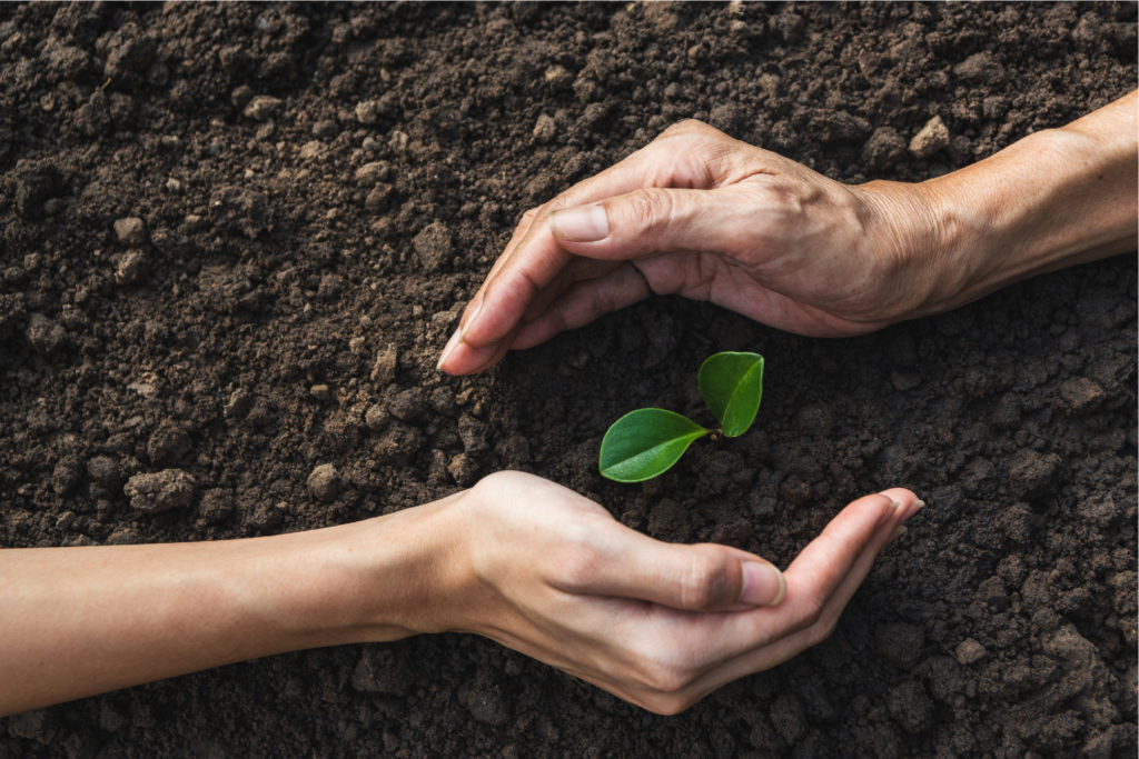 Home [sewingtheseedofhope.com]